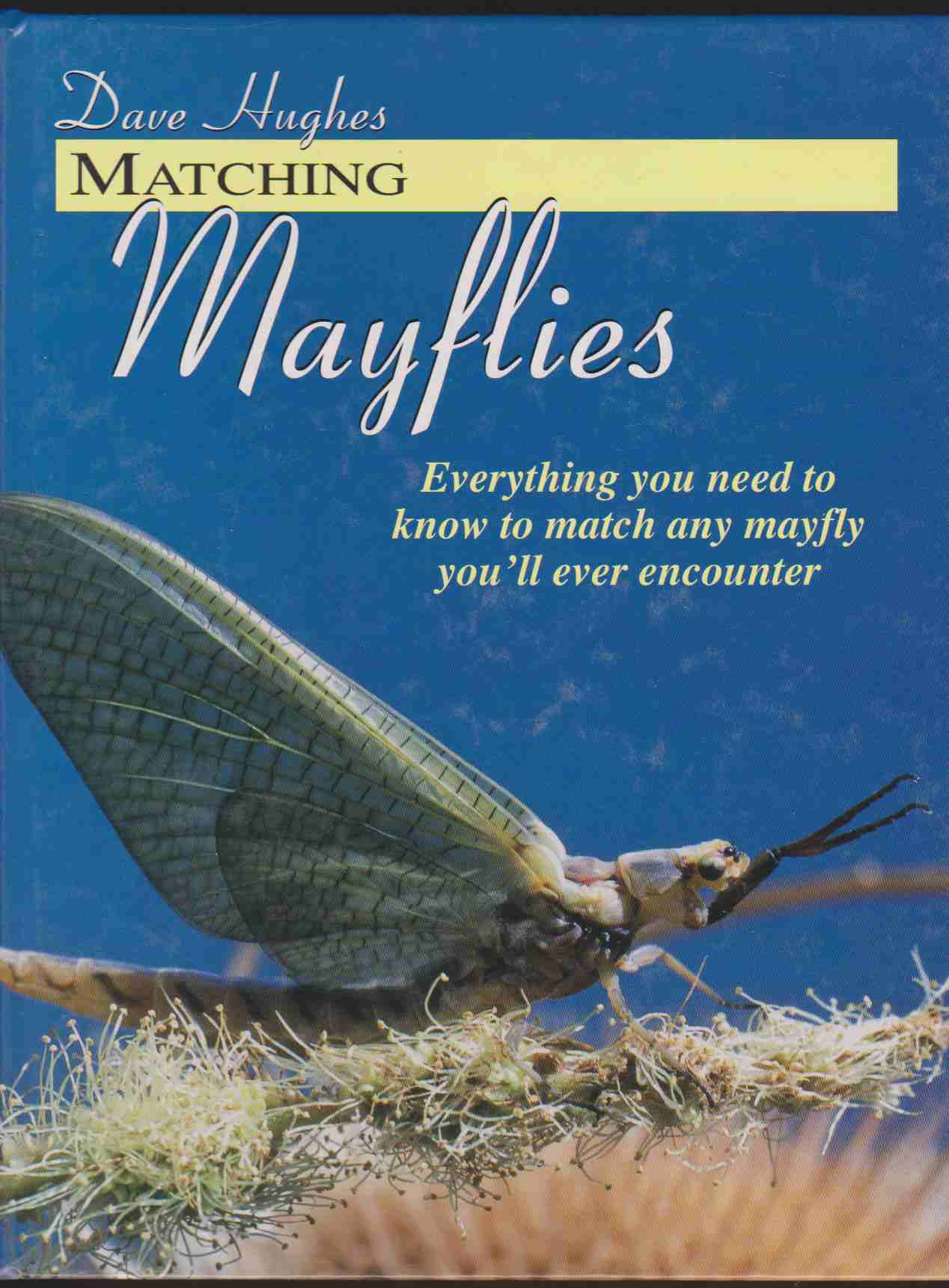 MATCHING MAYFLIES Everything You Need to Know to Match Any Mayfly You ...