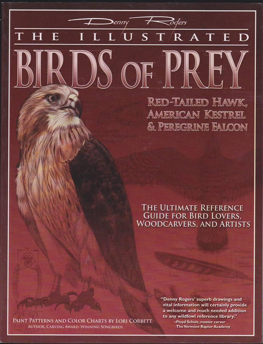 THE ILLUSTRATED BIRDS OF PREY RED-TAILED HAWK, AMERICAN KESTRAL ...